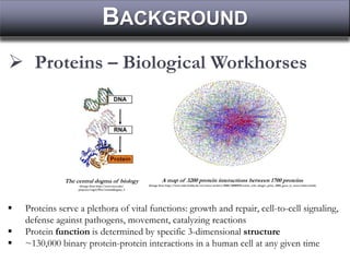 Insights into All-Atom Protein Structure Prediction via in silico ...