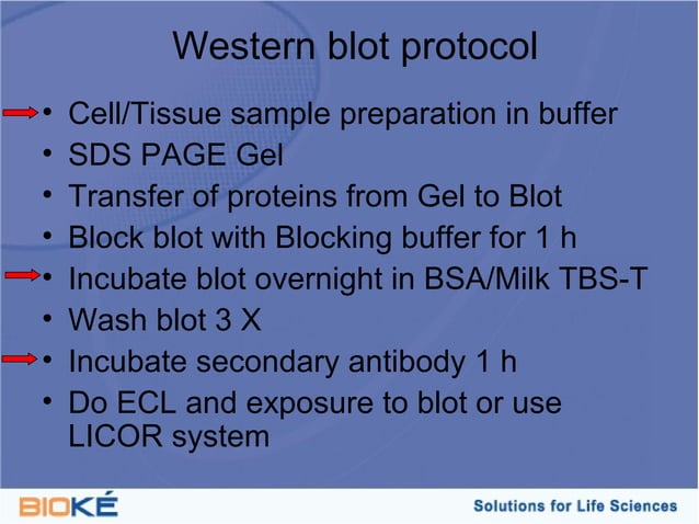Technical support training cell signaling | PPT
