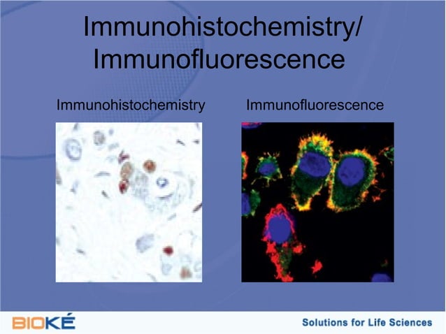 Technical support training cell signaling | PPT