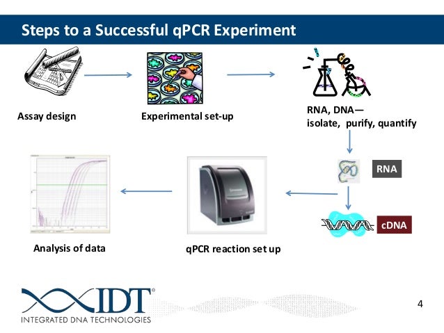 Technical Tips for qPCR