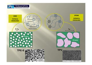 Technical Termopol presentation | PDF