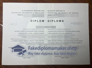 Technical University of Košice diploma.pdf