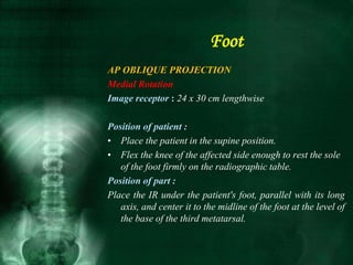 Technique 1 Lower limbs 1 | PPTX