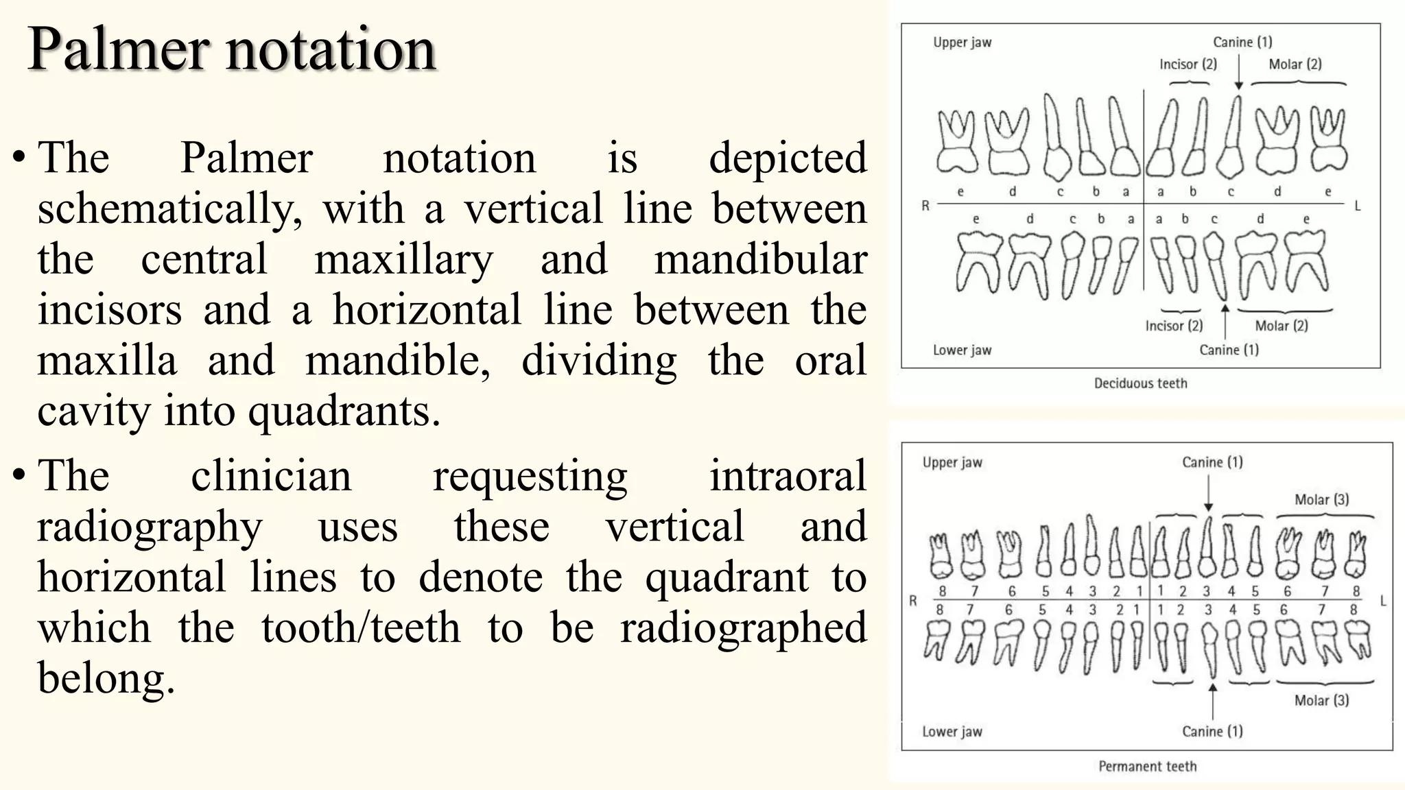 Technique of dental radiographic | PPTX
