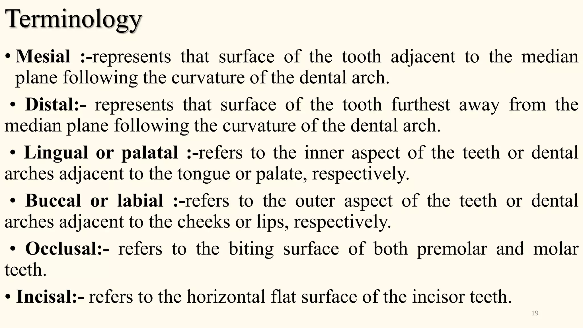 Technique of dental radiographic | PPTX