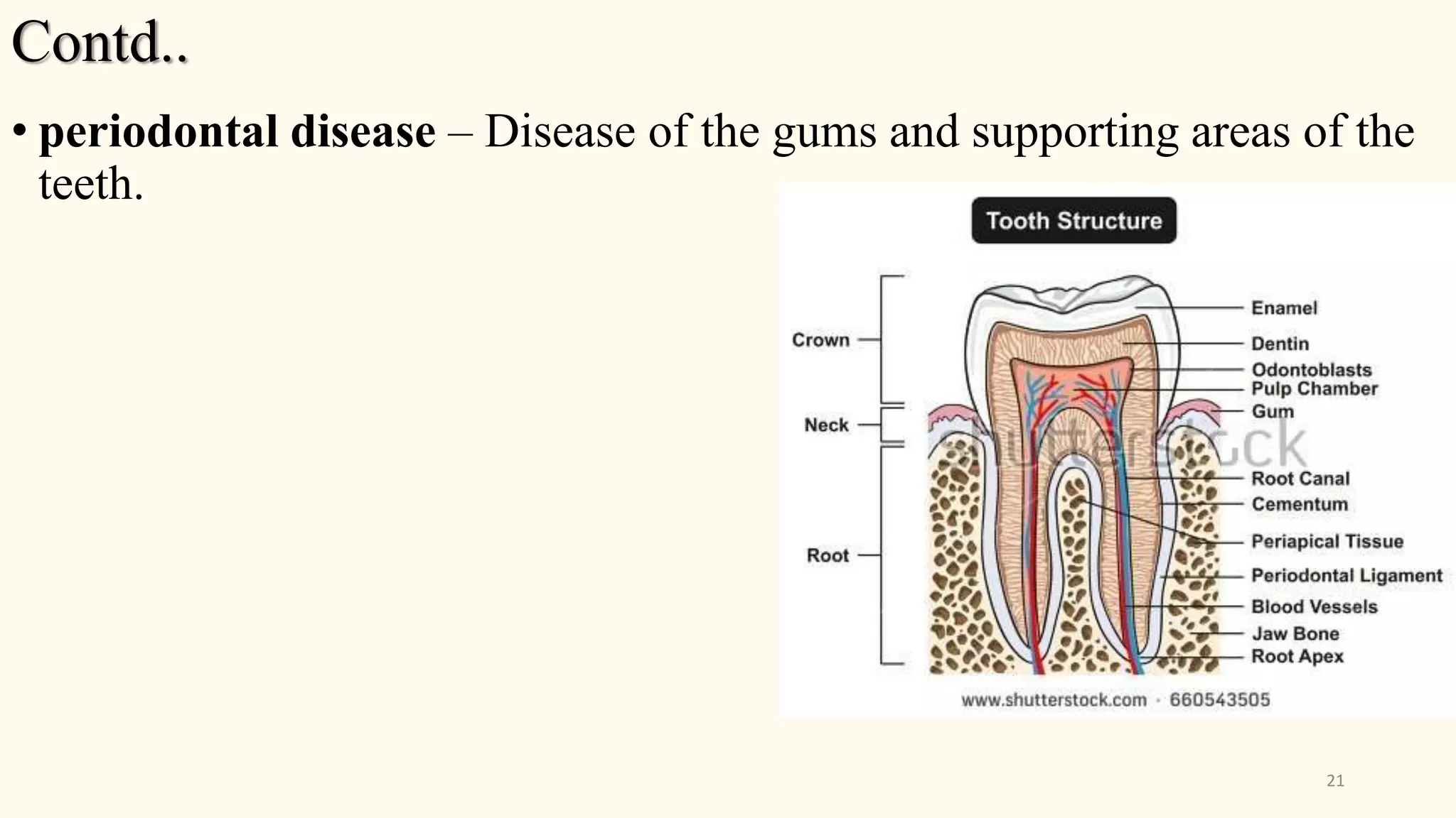 Technique of dental radiographic | PPTX