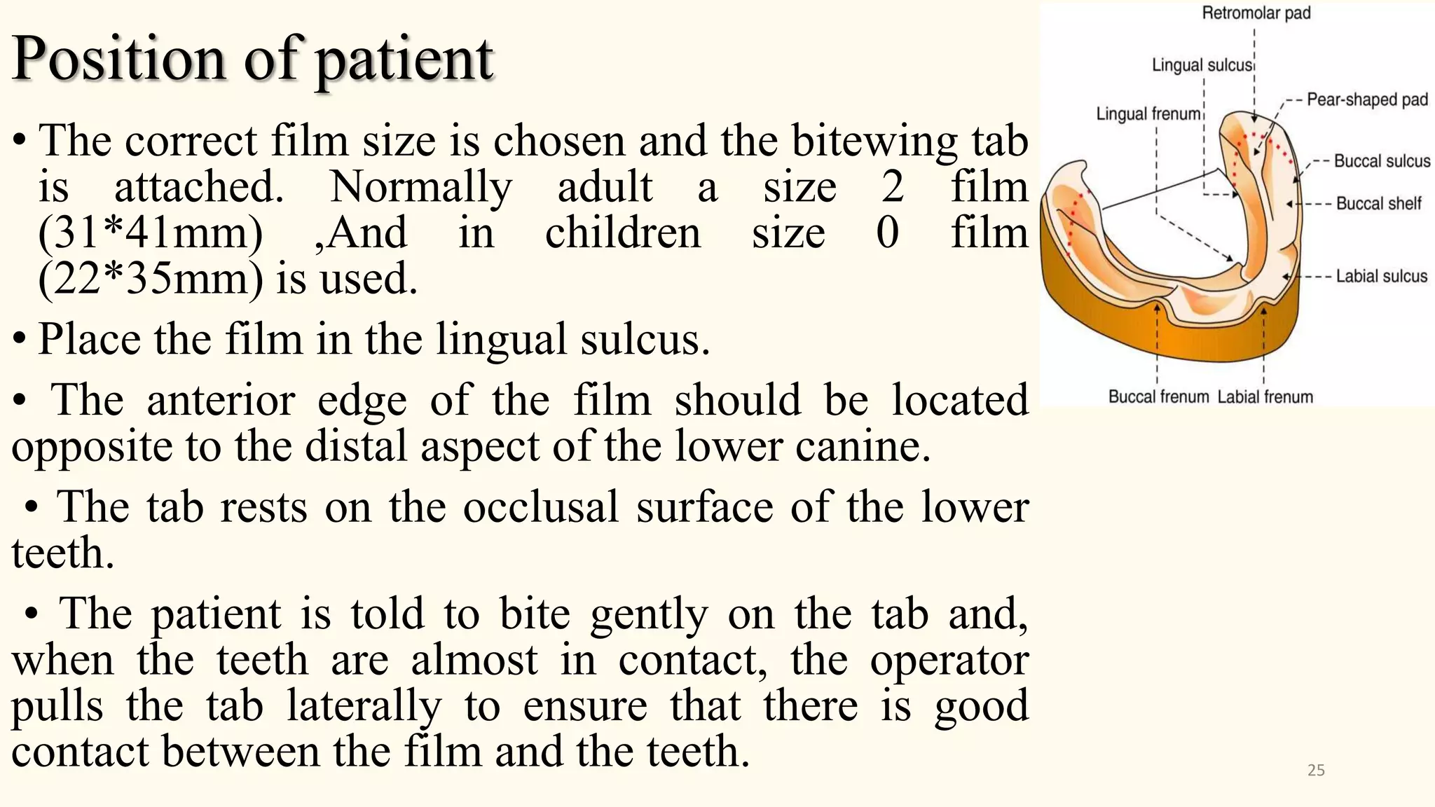 Technique of dental radiographic | PPTX
