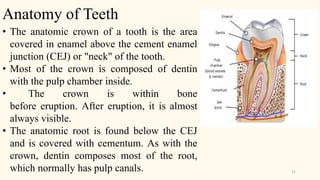 Technique of dental radiographic | PPTX