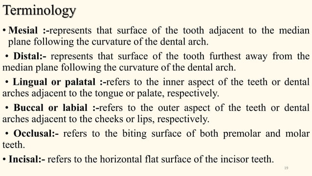 Technique of dental radiographic | PPTX
