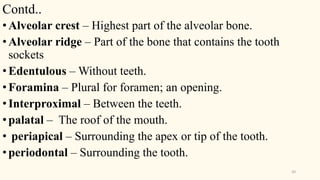 Technique of dental radiographic | PPTX