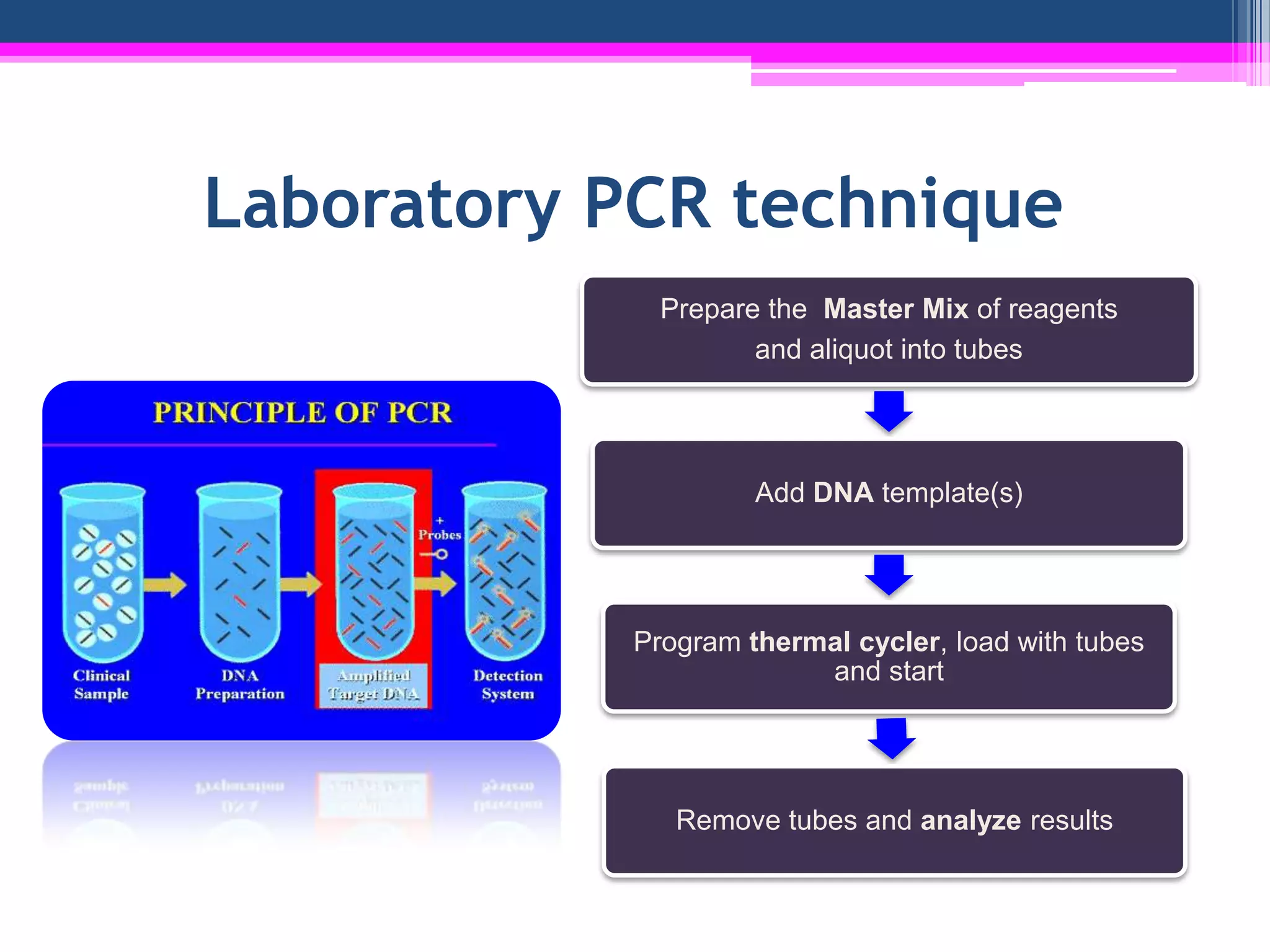 Technique of polymerase chain reaction (pcr) experimental biotechnology ...