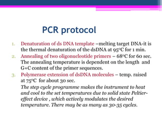 Technique of polymerase chain reaction (pcr) experimental biotechnology ...
