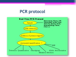 Technique of polymerase chain reaction (pcr) experimental biotechnology ...