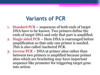 Technique of polymerase chain reaction (pcr) experimental biotechnology ...