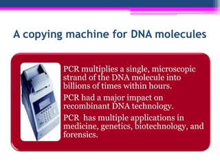 Technique of polymerase chain reaction (pcr) experimental biotechnology ...