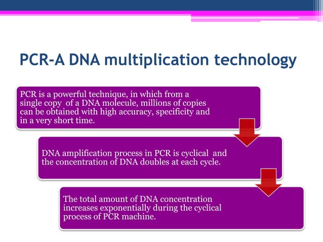 Technique of polymerase chain reaction (pcr) experimental biotechnology ...