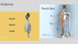 Technique of thoracic and lumber spine radiography | PPTX