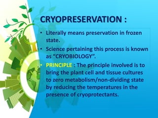 TECHNIQUES-OF-GERMPLASM-CONSERVATION.pdf