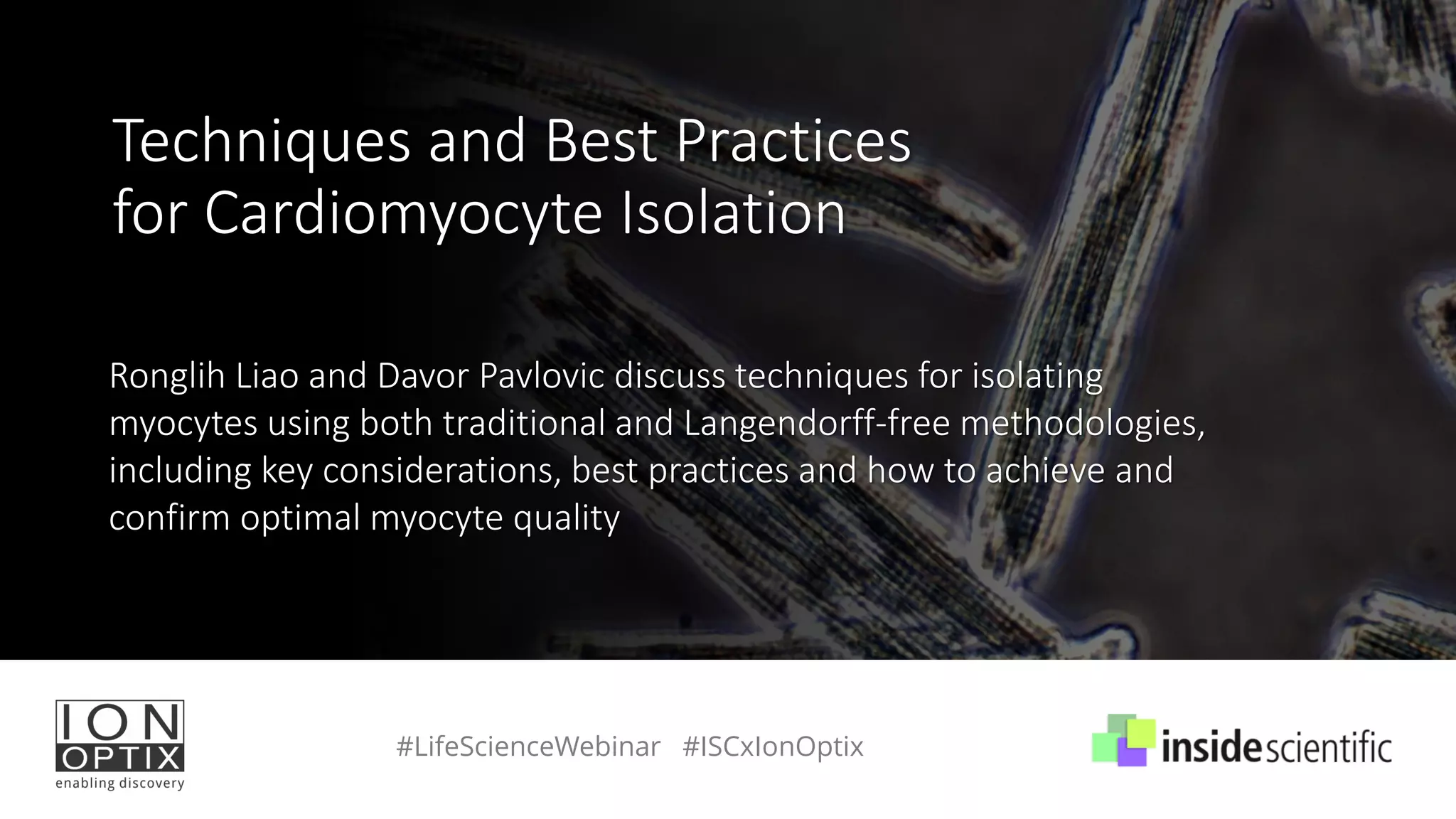 Techniques and Best Practices for Cardiomyocyte Isolation | PDF