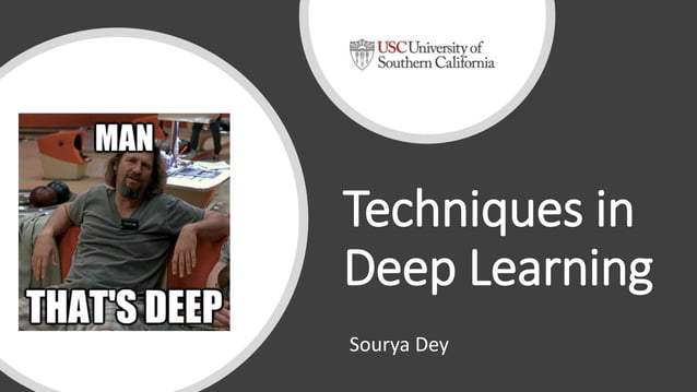 Techniques in Deep Learning | PPTX