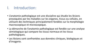 TECHNIQUES EN ANATOMIE PATHOLOGIQUE.pptx