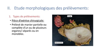 TECHNIQUES EN ANATOMIE PATHOLOGIQUE.pptx