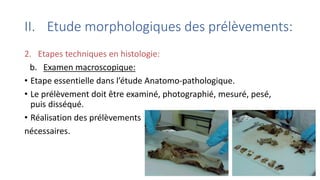 TECHNIQUES EN ANATOMIE PATHOLOGIQUE.pptx