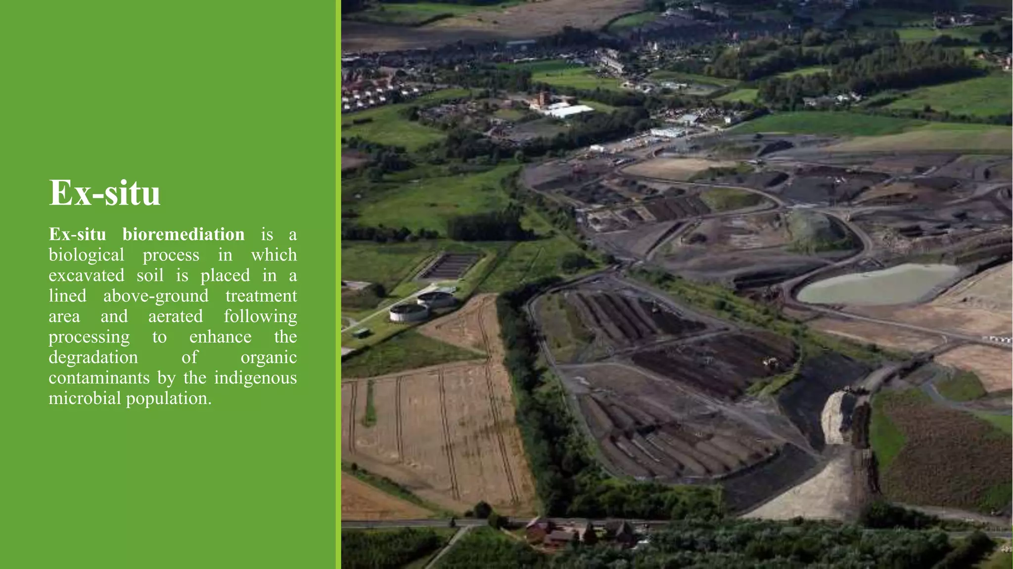 Techniques for bioremediation | PPTX