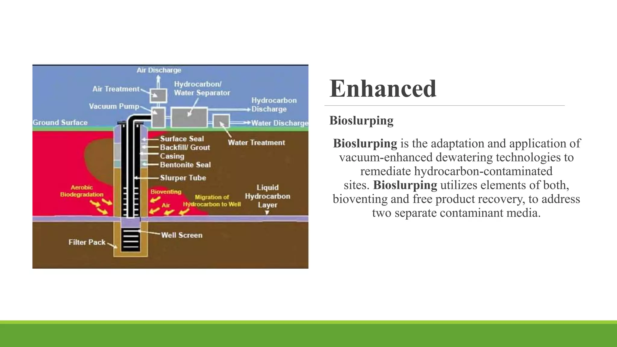 Techniques for bioremediation | PPTX