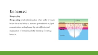 Techniques for bioremediation | PPTX