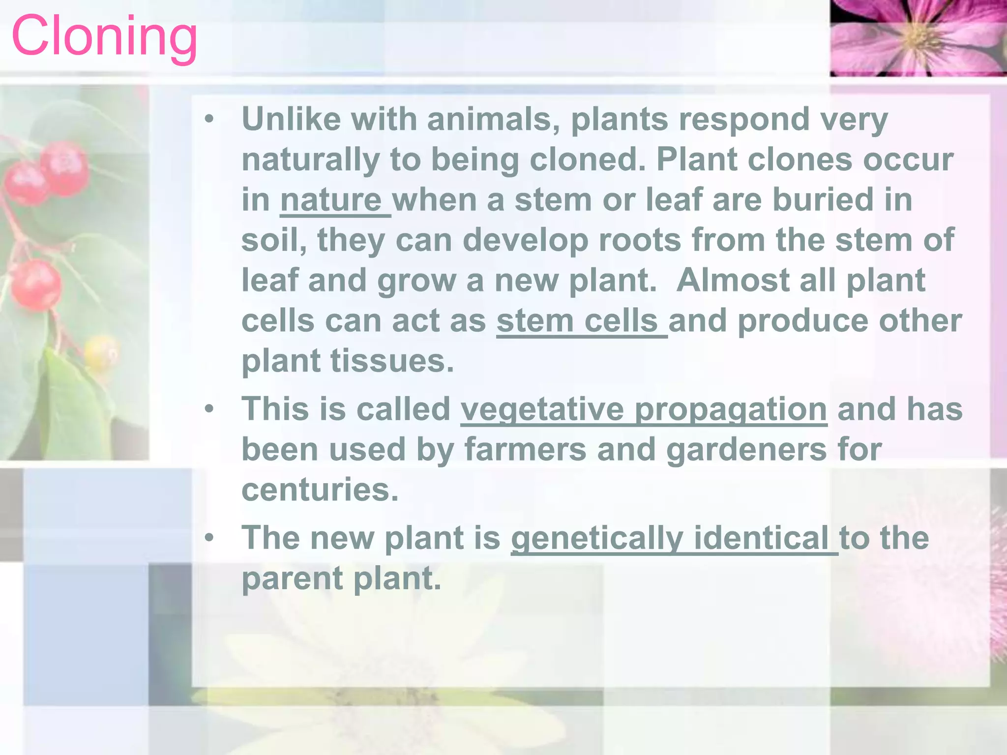 Techniques for cloning plants | PPTX