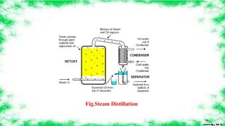 Techniques for extraction of essential oils | PPTX