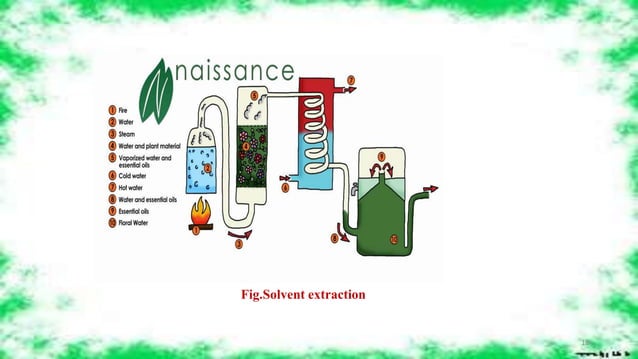 Techniques for extraction of essential oils | PPTX | Gardening | Home ...