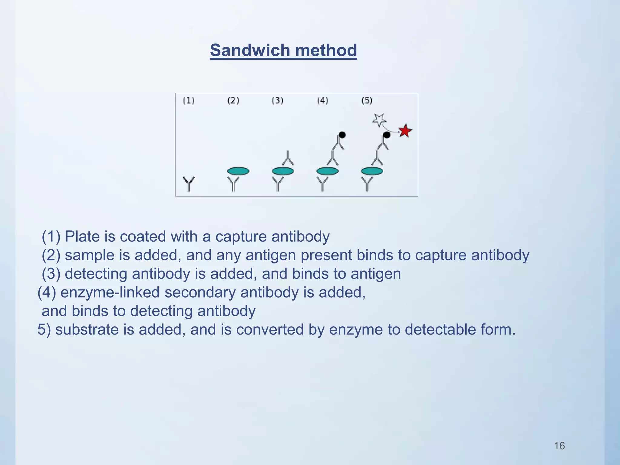 Techniques for identification of bacterial and viral pathogens | PPTX