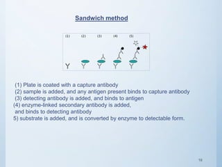 Techniques for identification of bacterial and viral pathogens | PPTX