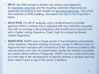 Techniques for identification of bacterial and viral pathogens | PPTX