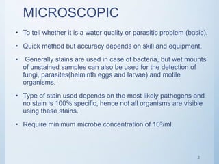 Techniques for identification of bacterial and viral pathogens | PPTX