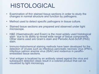Techniques for identification of bacterial and viral pathogens | PPTX