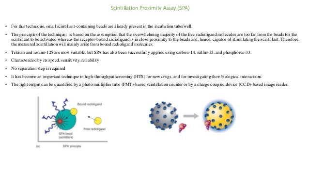 Techniques for measuring receptor binding – Its uses.pptx
