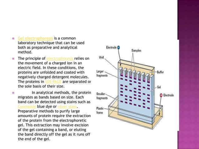 Techniques for protein purification | PPTX | Chemistry | Science