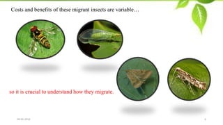 Techniques for studying insect migration | PDF