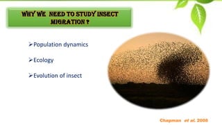 Techniques for studying insect migration | PDF