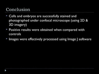 Techniques In Confocal Microscopy & Image Processing | PPT | Biological Sciences | Science