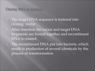 Techniques in molecualr genetics | PPT
