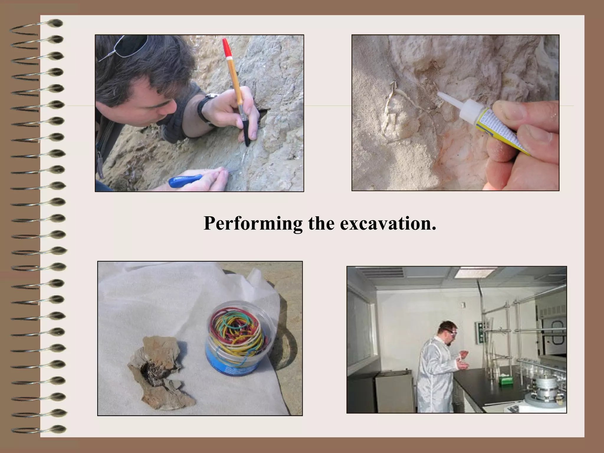 Techniques in paleontology | PPT