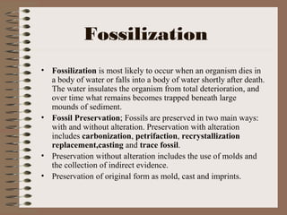 Techniques in paleontology | PPT