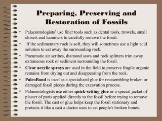 Techniques in paleontology | PPT