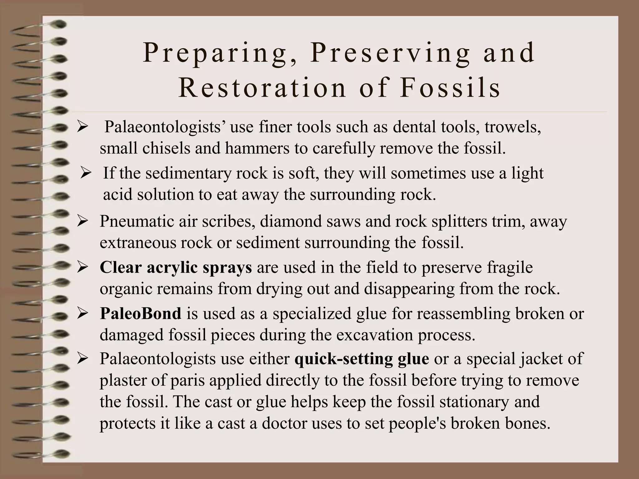 techniques in paleontology.pptx