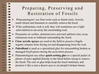 techniques in paleontology.pptx