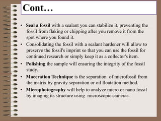 techniques in paleontology.pptx